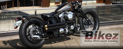 2020 Road Hopper Type9 Evo specifications and pictures